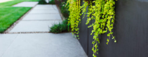 Landscape Gardeners Muswell Hill | Your Dream Garden Awaits